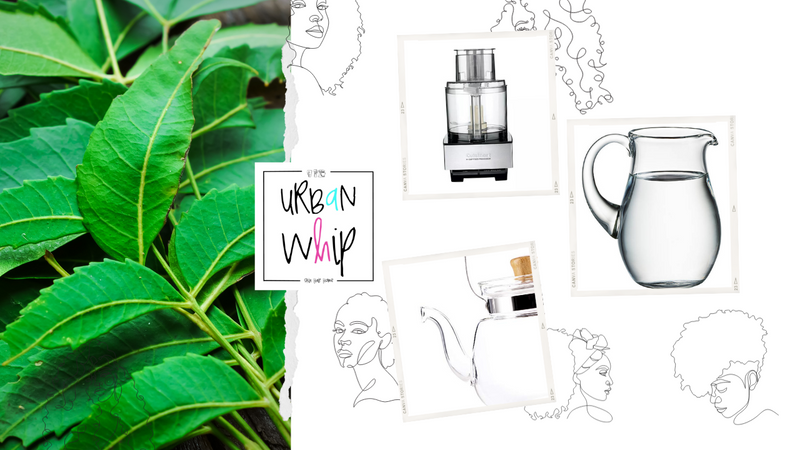 Unlocking the Power of Neem: DIY Beauty Recipes for Hair and Skin ...