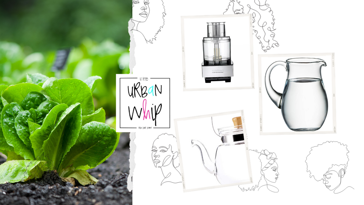 Romaine Lettuce Elegance: DIY Delicacies for Hair and Skin – Urban Whip