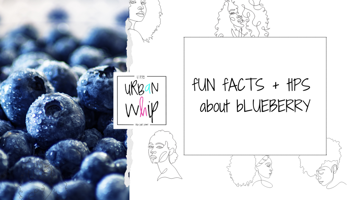 Embrace the Power of Blueberries: Fun Facts and Health Benefits – Urban ...