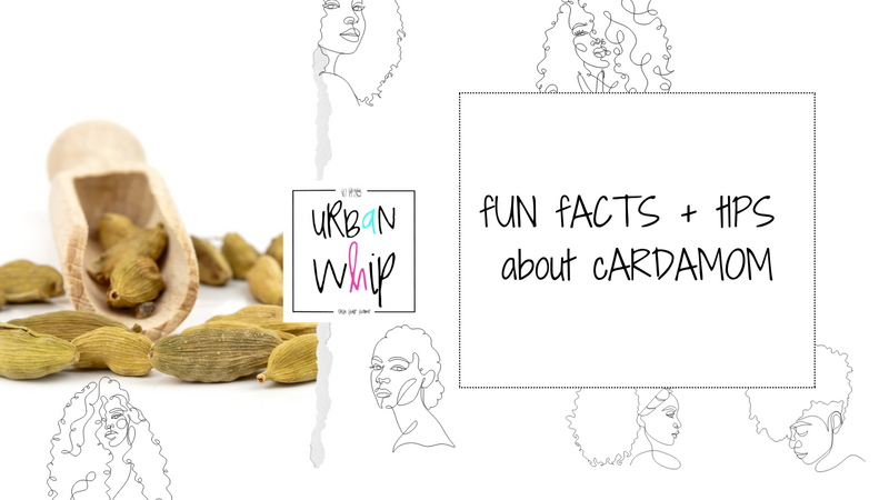 cARDAMOM fUN fACTS + hISTORY – Urban Whip