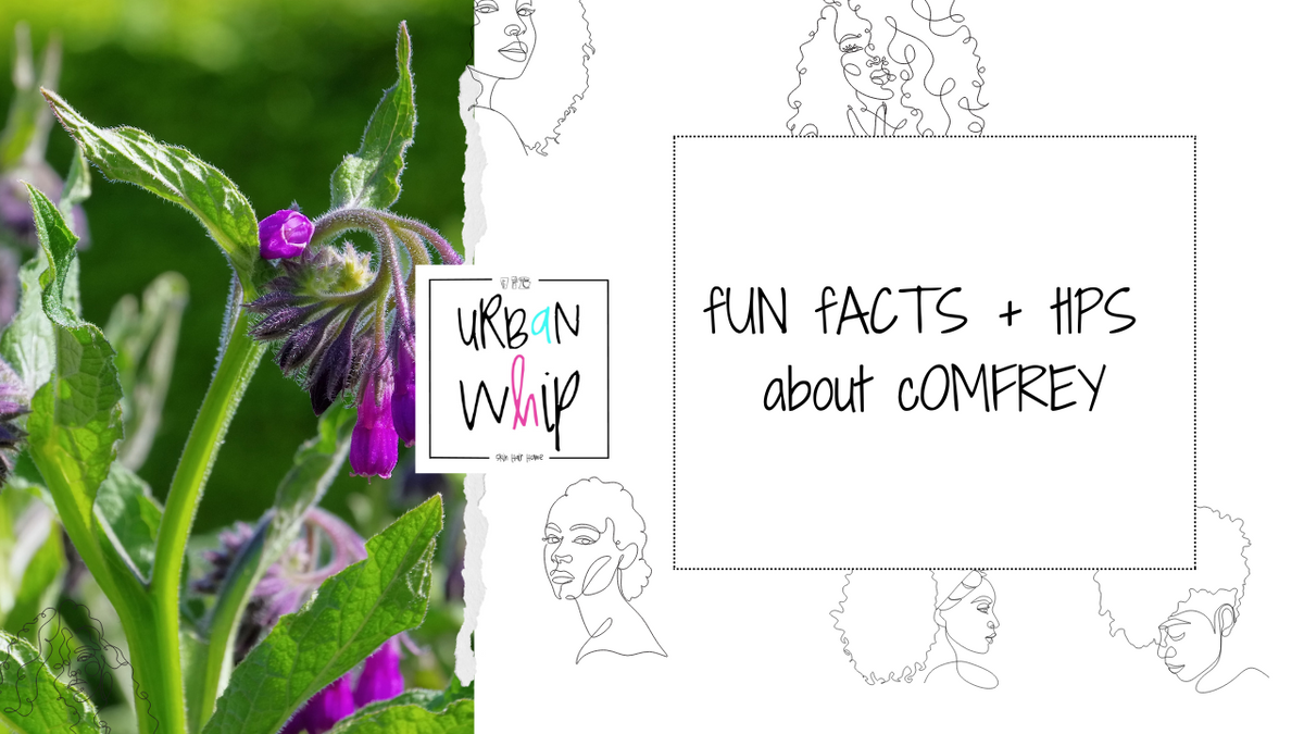 Comfrey - Nature’s Healing Herb – Urban Whip