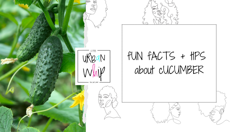 cUCUMBER | fUN fACTS – Urban Whip
