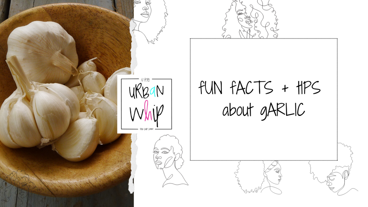 gARLIC | fUN fACTS – Urban Whip