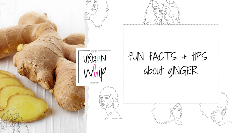 gINGER | fUN fACTS – Urban Whip
