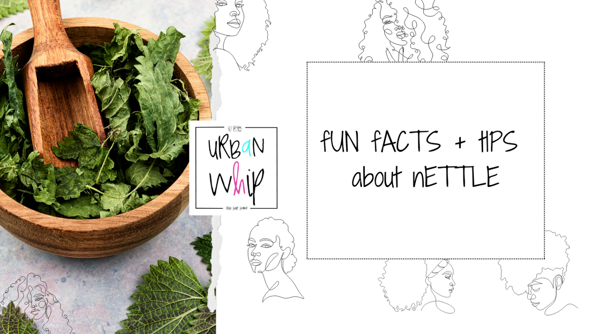 nETTLE | fUN fACTS – Urban Whip