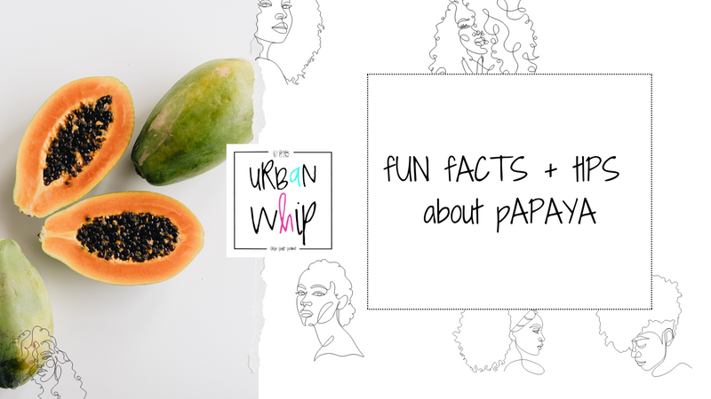 pAPAYA | fUN fACTS – Urban Whip