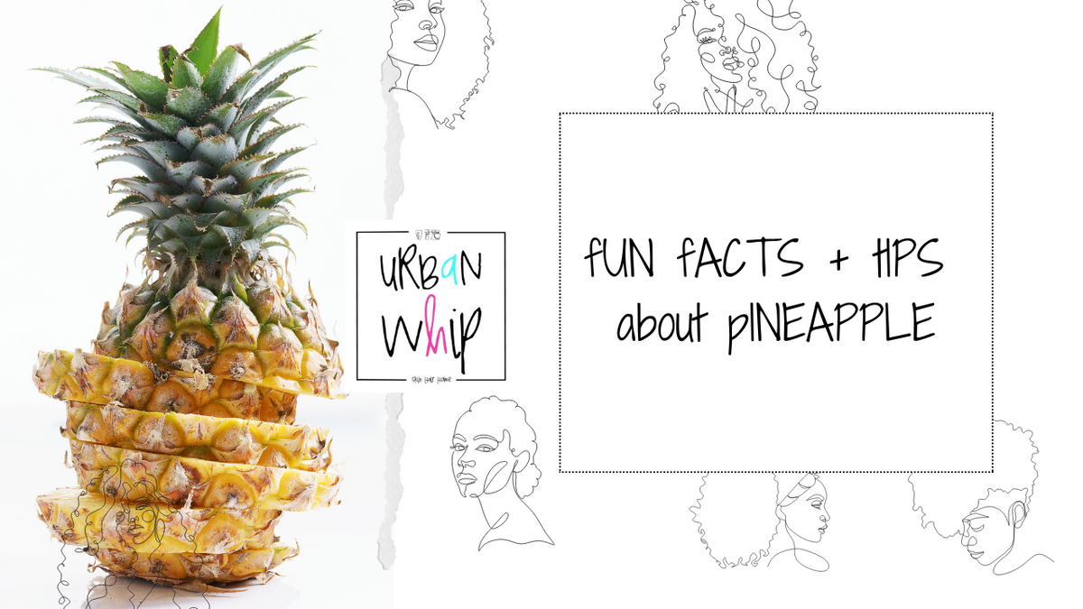 pINEAPPLE | fUN fACTS – Urban Whip