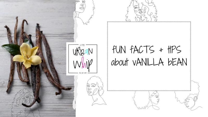 Fun Facts About Vanilla Bean (Vanilla Planifolia) – Urban Whip