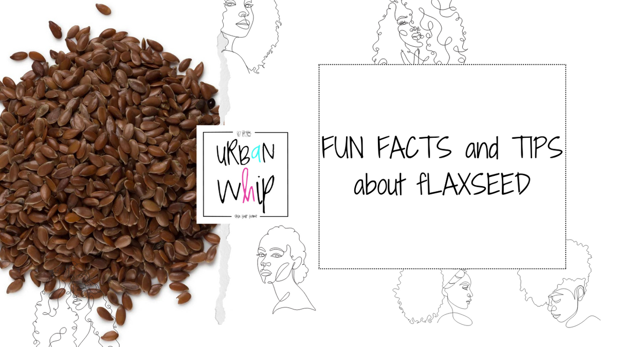 fUN fACTS aBOUT fLAXSEED – Urban Whip