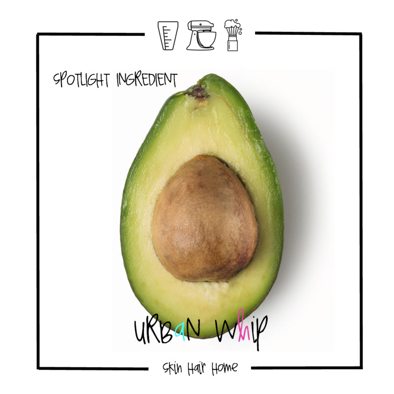 sPOTLIGHT iNGREDIENT: aVOCADO – Urban Whip