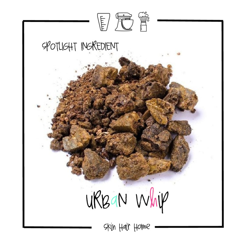 sPOTLIGHT iNGREDIENT: pROPOLIS – Urban Whip