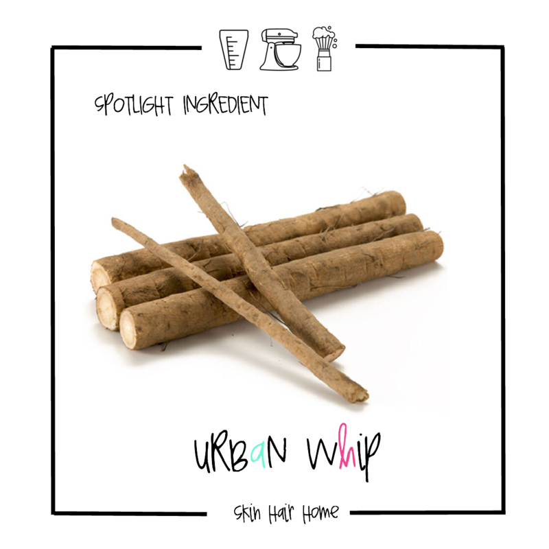 sPOTLIGHT iNGREDIENT: bURDOCK rOOT – Urban Whip