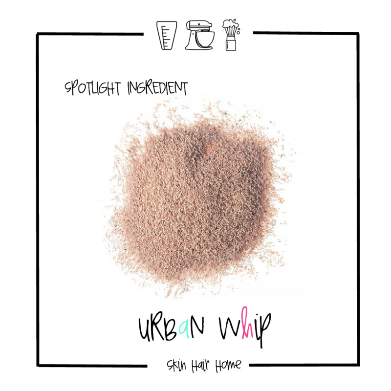 sPOTLIGHT iNGREDIENT: gROUND cHERRY pIT – Urban Whip