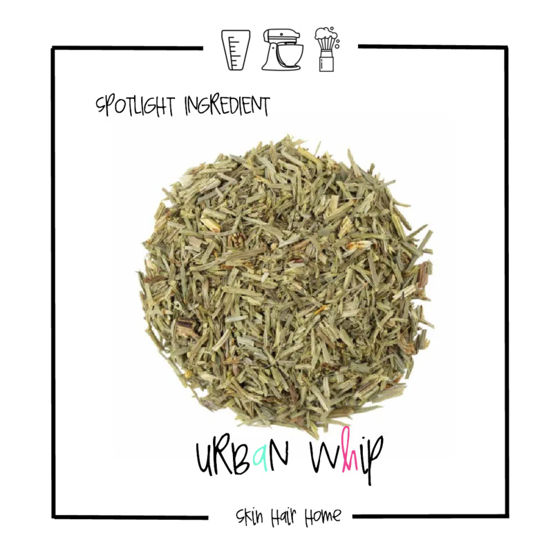 sPOTLIGHT iNGREDIENT: hORSETAIL hERB – Urban Whip