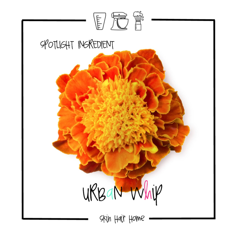 sPOTlIGHT iNGREDIENT: mARIGOLD – Urban Whip