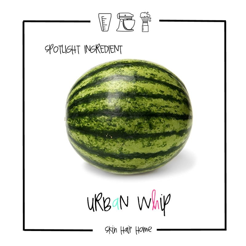 sPOTLIGHT iNGREDIENT: wATERMELON – Urban Whip